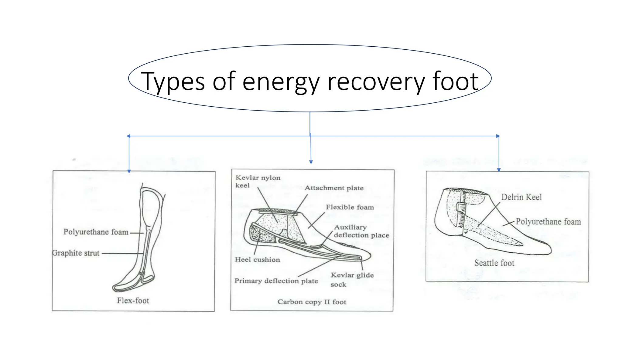 PROSTHETIC FEET description and its types | PPTX
