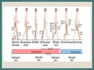 Prosthetic gait deviation | PPTX