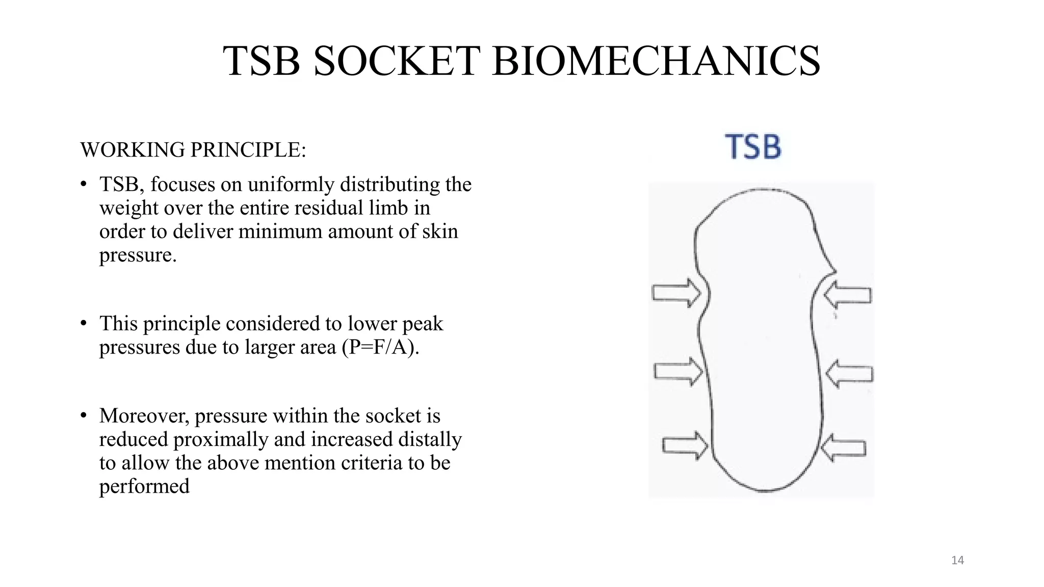 PROSTHETIC MANAGEMENT OF TRANSTIBIAL AMPUTATION AND ITS BIOMECHANICS | PDF