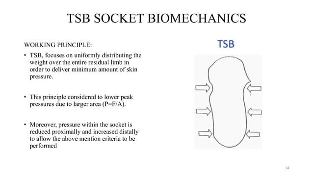 PROSTHETIC MANAGEMENT OF TRANSTIBIAL AMPUTATION AND ITS BIOMECHANICS | PDF