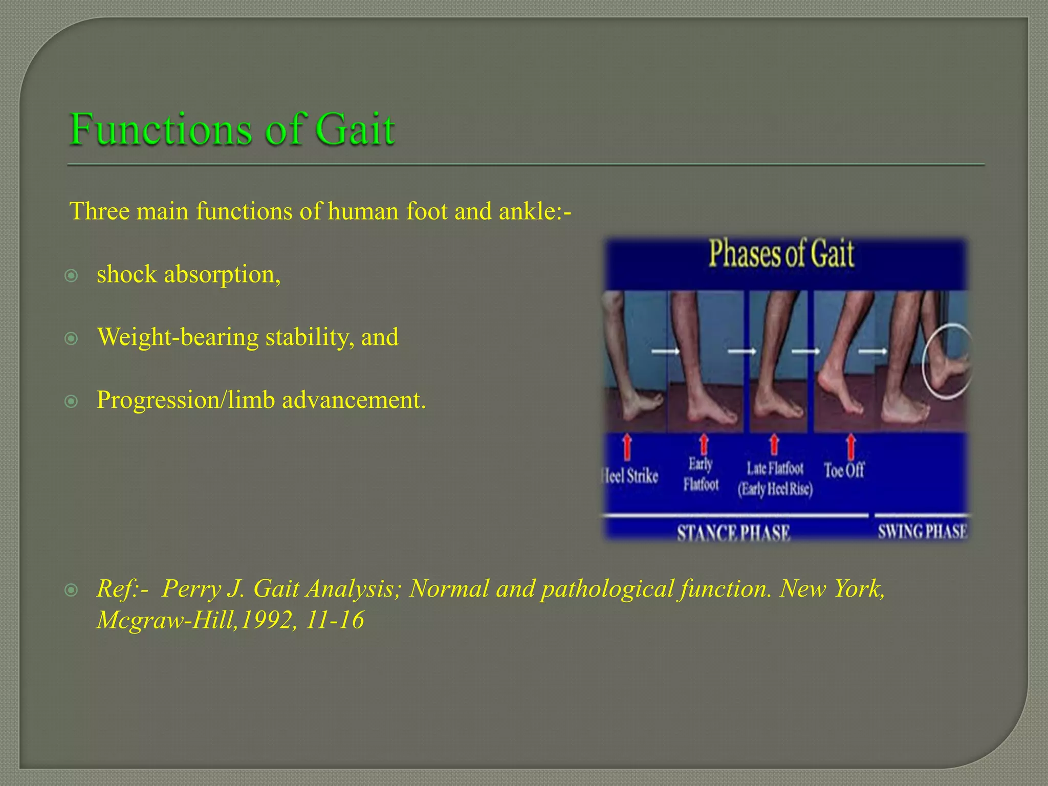 Prosthetics foot | PDF