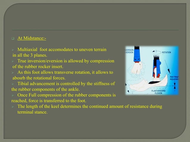 Prosthetics foot | PDF | Foot Health | Diseases and Conditions