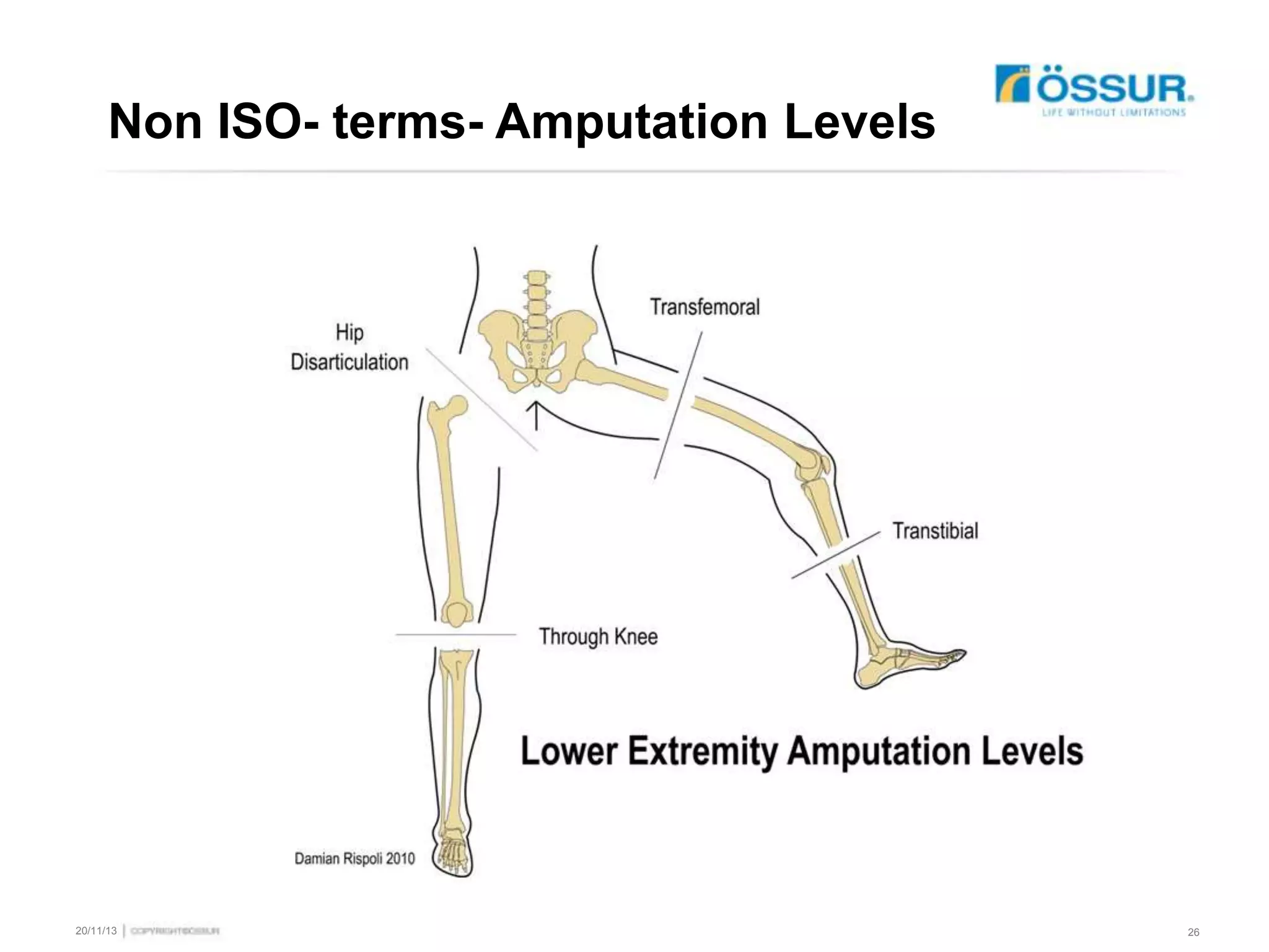Basic Prosthetics II | PPTX