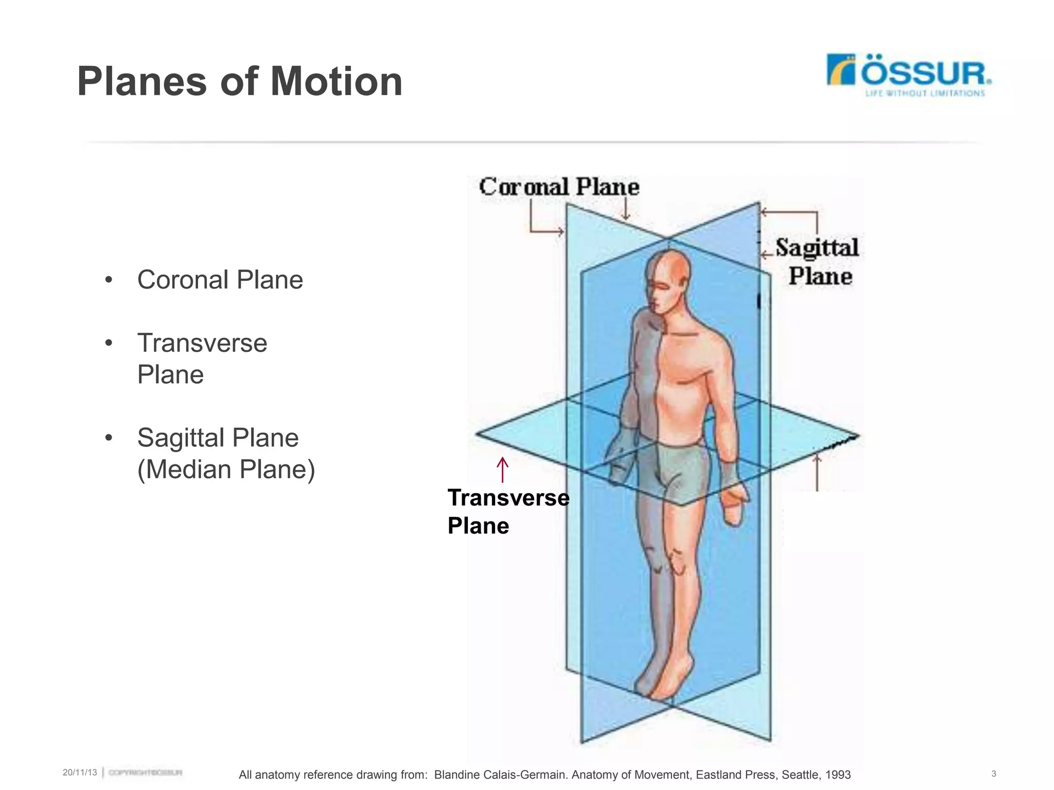 Basic Prosthetics II | PPTX