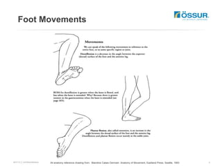 Basic Prosthetics II | PPTX