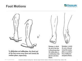 Basic Prosthetics II | PPTX