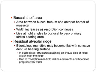 mandibular anatomical landmarks | PPTX