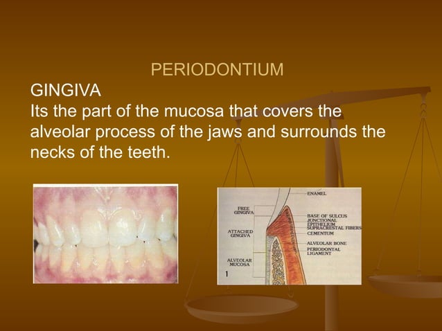 prostho-perio interdisciplanary approcah in fpd.ppt