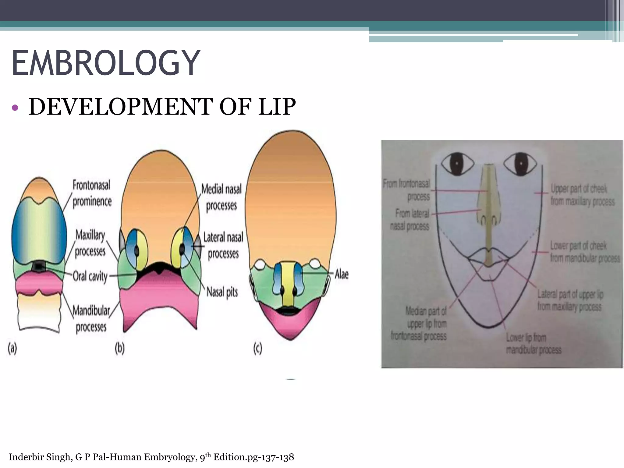 Prosthodontic management of cleft lip and palate | PPTX
