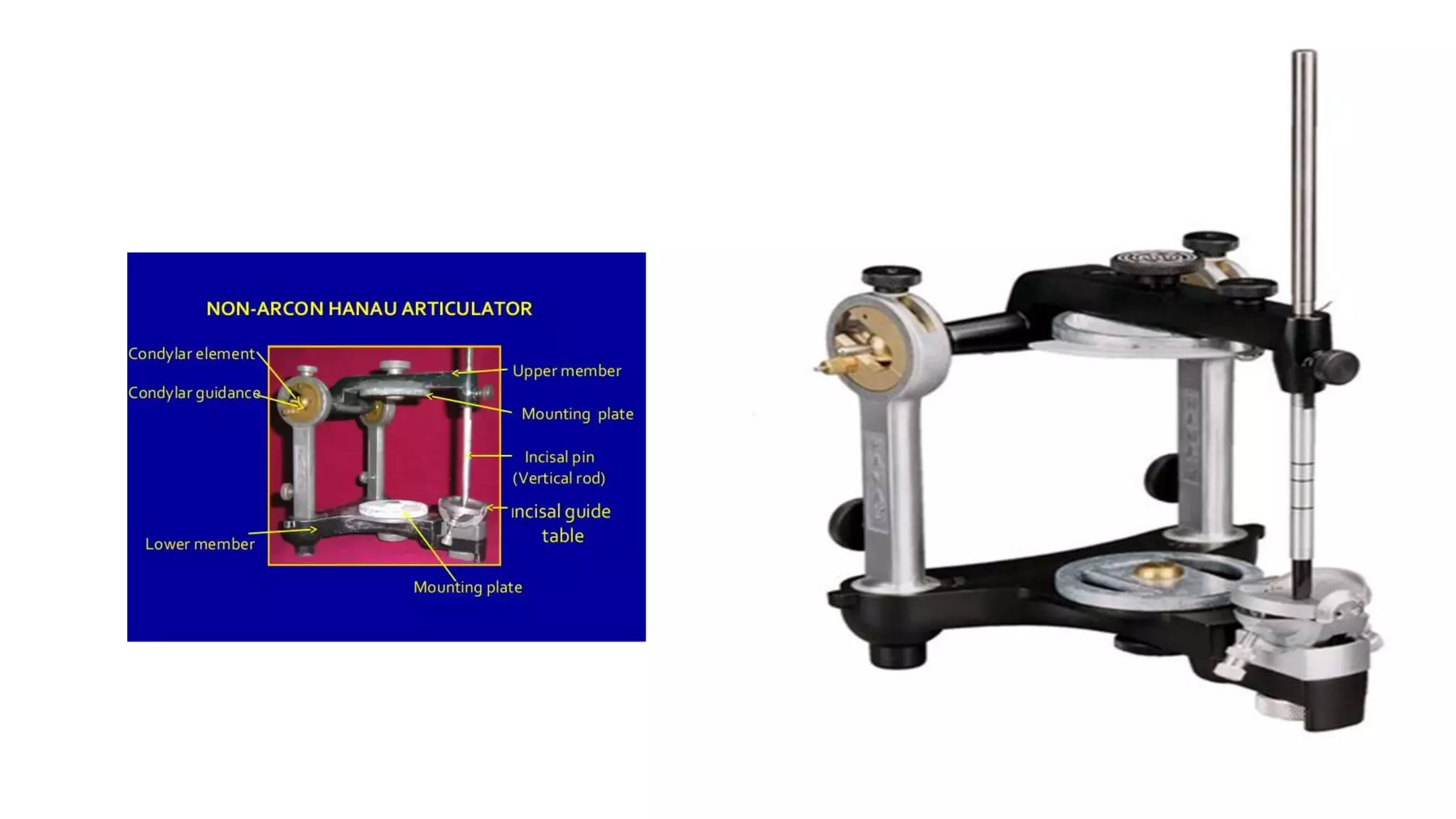Prosthodontics - realeff relevance in complete denture | PDF