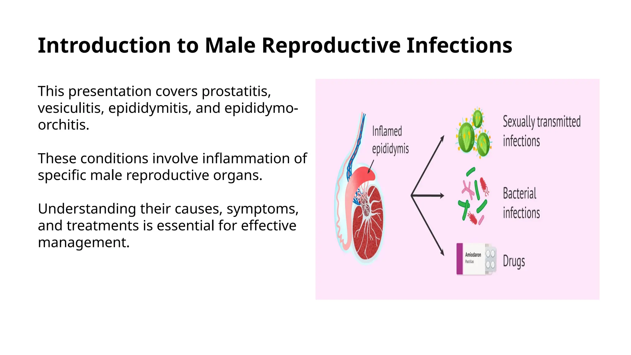 Prostitis, Vesiculitis,Epididymitis,epididymo-orchitis.pptx