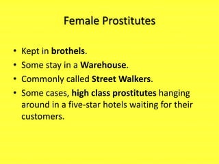 Prostitutions | PPT
