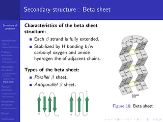 Introduction to protein structure | PDF
