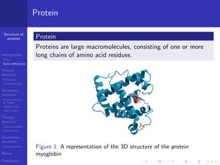 Introduction to protein structure | PDF