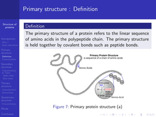 Introduction to protein structure | PDF | Chemistry | Science
