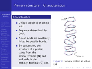 Introduction to protein structure | PDF