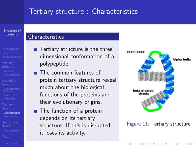 Introduction to protein structure | PDF | Chemistry | Science