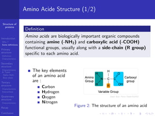 Introduction to protein structure | PDF | Chemistry | Science