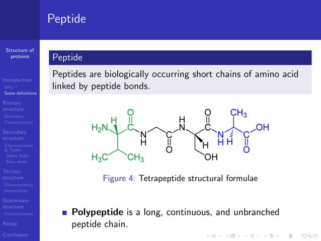 Introduction to protein structure | PDF | Chemistry | Science