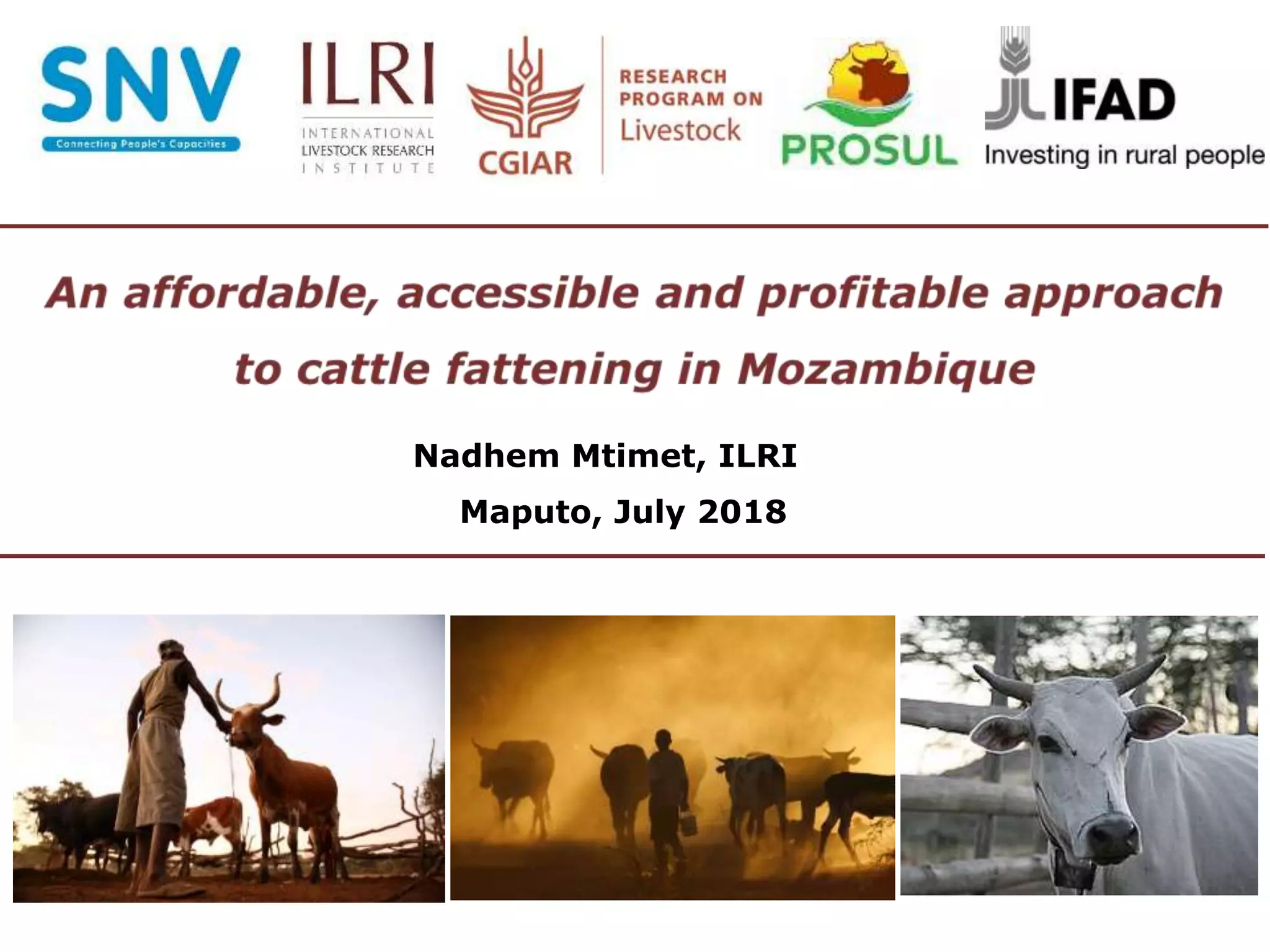 An affordable, accessible and profitable approach to cattle fattening ...