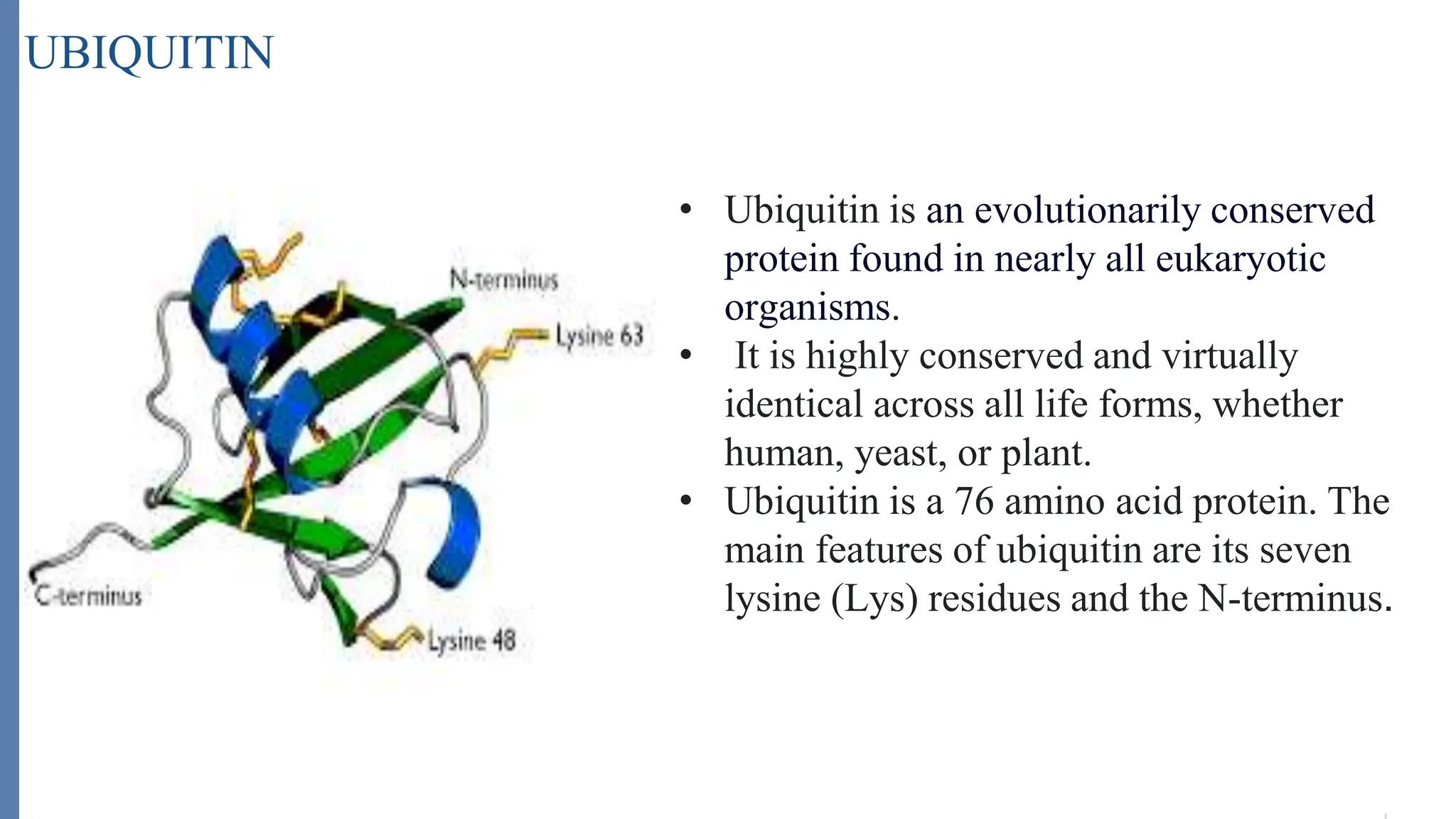 overview on protein targeted chimerase (protac) in recent life | PPTX