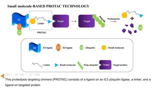 Protac-BOC Sciences | PDF
