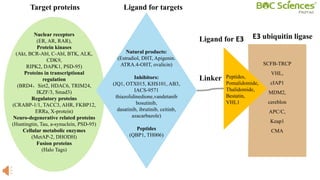 Protac-BOC Sciences | PDF