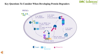 Protac-BOC Sciences | PDF