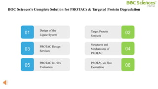 Protac-BOC Sciences | PDF