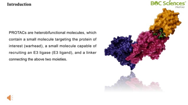 Protac-BOC Sciences | PDF