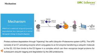 Protac-BOC Sciences | PDF