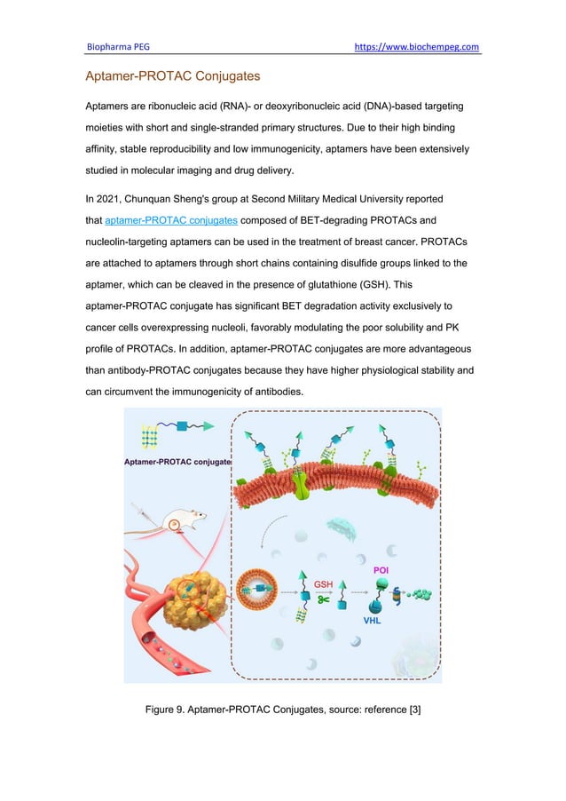 PROTAC Delivery System Recent Research Advances.pdf