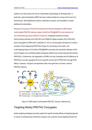 PROTAC Delivery System Recent Research Advances.pdf