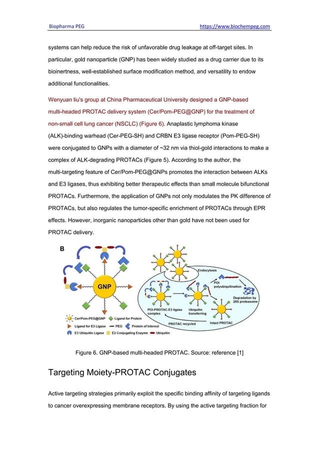 PROTAC Delivery System Recent Research Advances.pdf