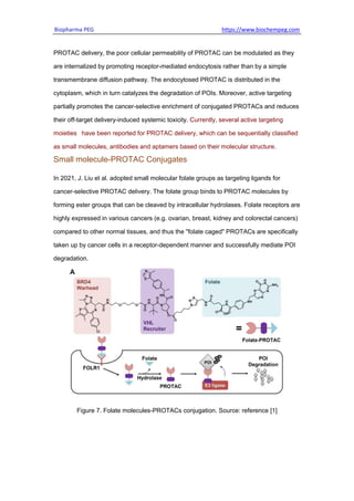 PROTAC Delivery System Recent Research Advances.pdf