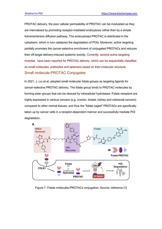 PROTAC Delivery System Recent Research Advances.pdf