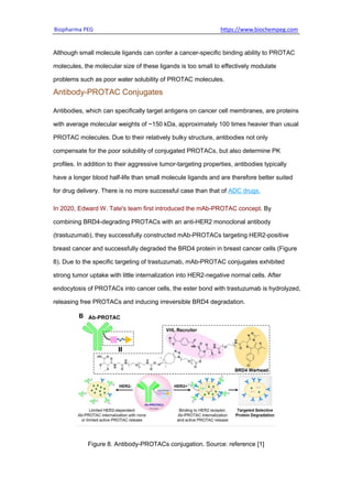 PROTAC Delivery System Recent Research Advances.pdf