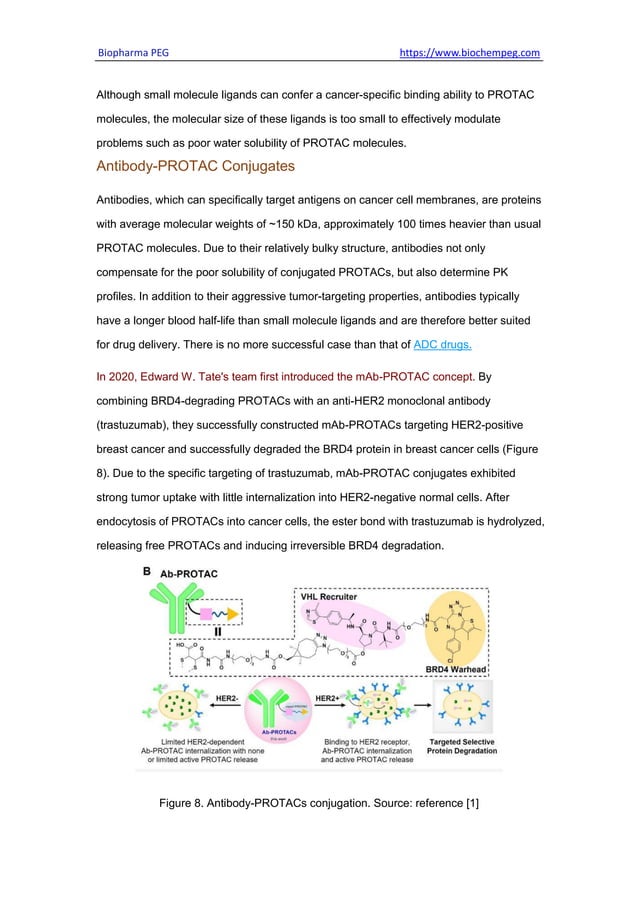 PROTAC Delivery System Recent Research Advances.pdf
