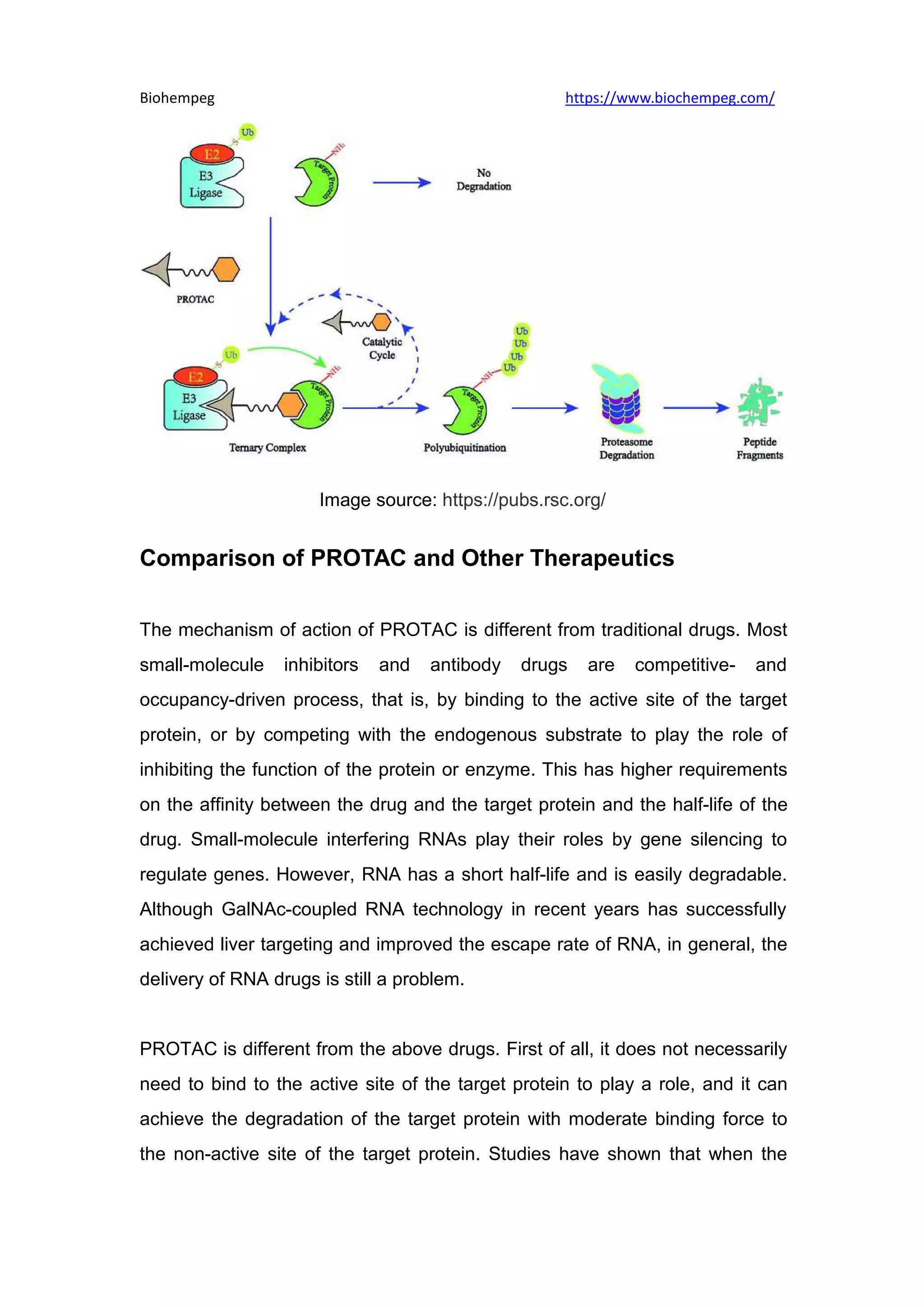 Prota cs and targeted protein degradation | PDF