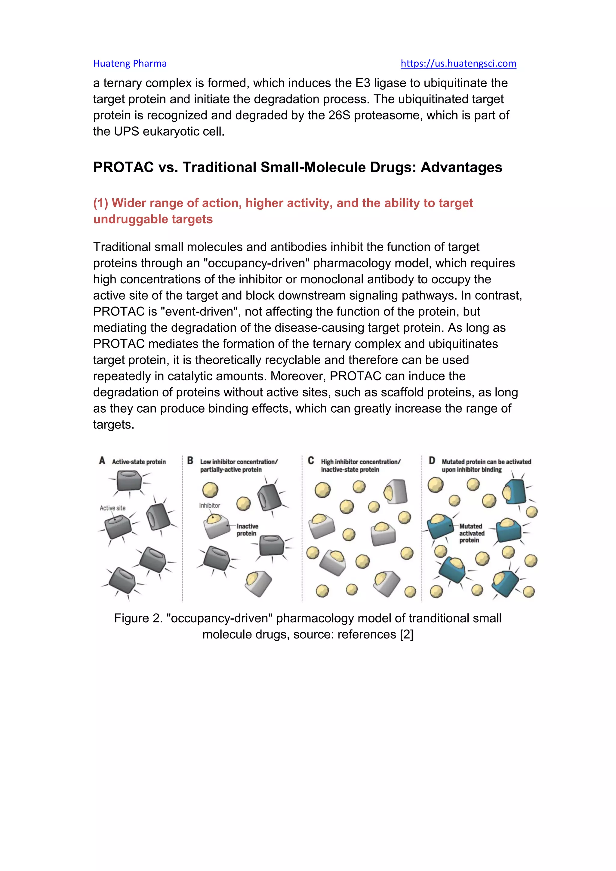 PROTAC Technology： An Effective Targeted Protein Degrader.pdf