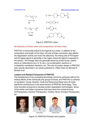 PROTAC Technology： An Effective Targeted Protein Degrader.pdf