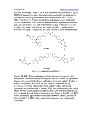 PROTAC Technology： An Effective Targeted Protein Degrader.pdf