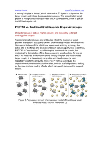 PROTAC Technology： An Effective Targeted Protein Degrader.pdf