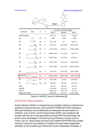 PROTAC Technology： An Effective Targeted Protein Degrader.pdf