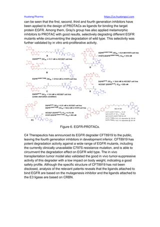 PROTAC Technology： An Effective Targeted Protein Degrader.pdf