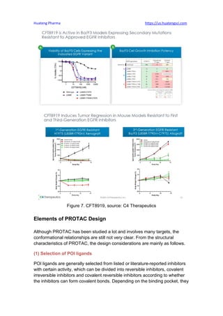 PROTAC Technology： An Effective Targeted Protein Degrader.pdf