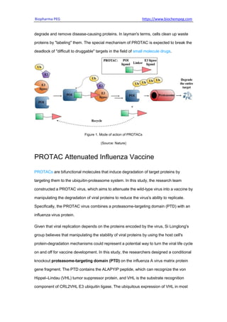 PROTAC Technology A New Application In Influenza Vaccines.pdf