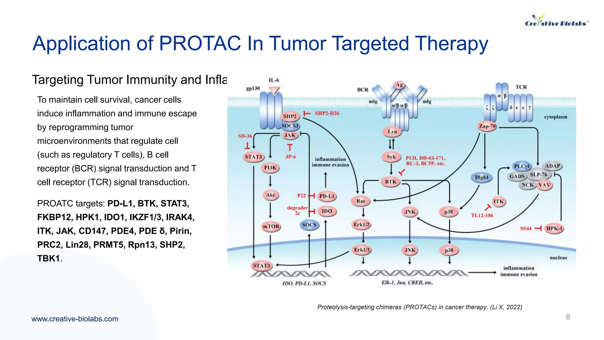 PROTAC Technology in Tumor Targeted Therapy - Creative Biolabs | PPTX