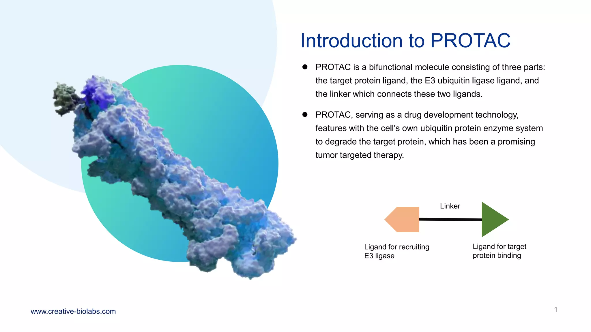 PROTAC Technology in Tumor Targeted Therapy - Creative Biolabs | PPTX