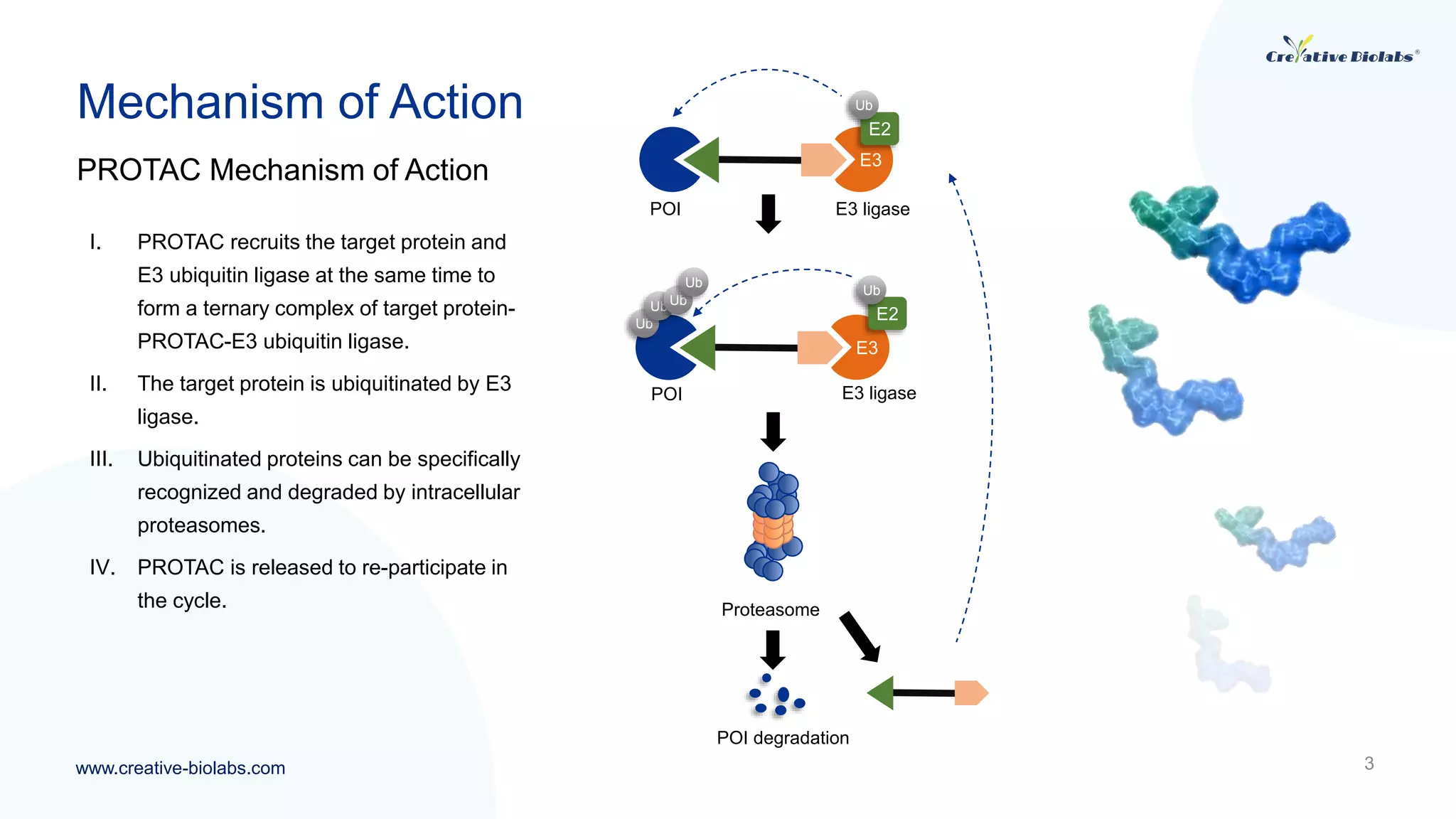 PROTAC Technology in Tumor Targeted Therapy - Creative Biolabs | PPTX